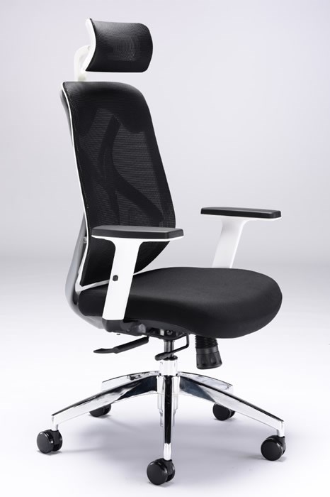 High Back Mesh Office Chair With Headrest - Deeply Padded Seat - Maldini